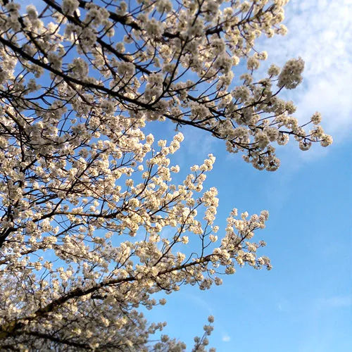 AVOLTIK Photovoltaik Kabel & Zubehör: Ihr PV-Zubehör-Experte – PV-Insel